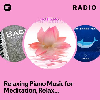 Relaxing Piano Music for Meditation, Relaxation, and Yoga Radio | Spotify Playlist