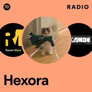 Hexora Radio | Spotify Playlist