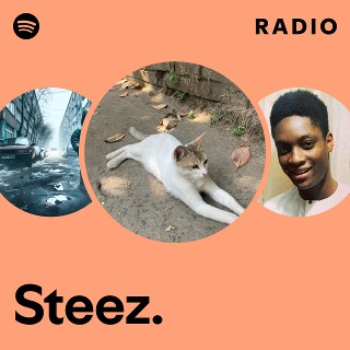 Steez. Radio | Spotify Playlist