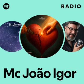 Mc João Igor Radio | Spotify Playlist