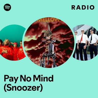 Pay No Mind (Snoozer) Radio | Spotify Playlist