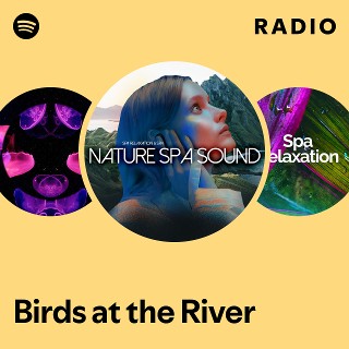 Birds at the River Radio - playlist by Spotify | Spotify
