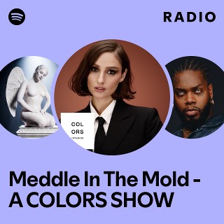 Meddle In The Mold - A COLORS SHOW Radio | Spotify Playlist