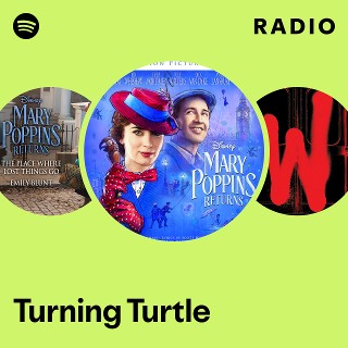 Turning Turtle Radio | Spotify Playlist