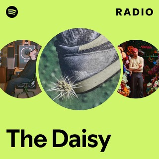 The Daisy Radio | Spotify Playlist