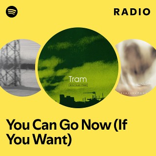You Can Go Now (If You Want) Radio | Spotify Playlist