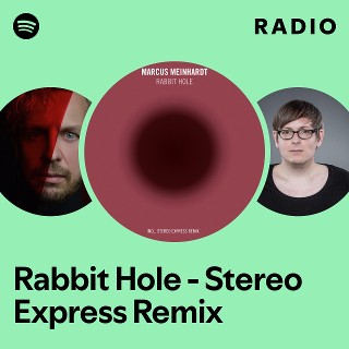 Rabbit Hole - Stereo Express Remix Radio - playlist by Spotify | Spotify