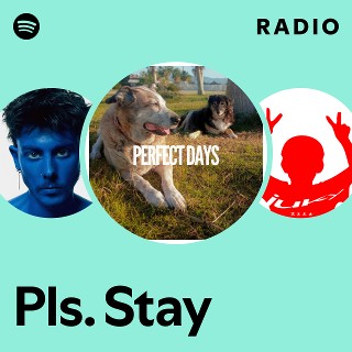 Pls. Stay Radio | Spotify Playlist
