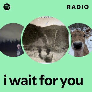 i wait for you Radio | Spotify Playlist
