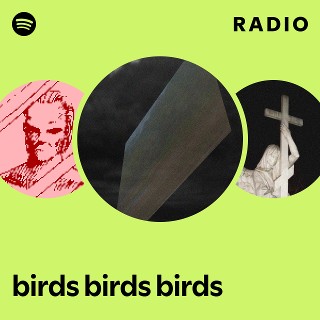 birds birds birds Radio | Spotify Playlist