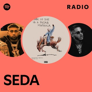 SEDA Radio | Spotify Playlist