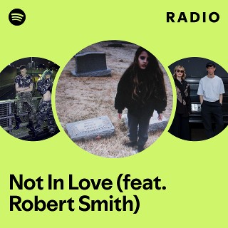 Not In Love (feat. Robert Smith) Radio - playlist by Spotify | Spotify