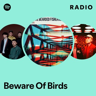 Beware Of Birds Radio - playlist by Spotify | Spotify