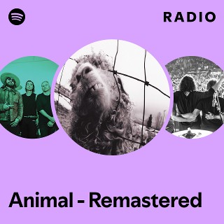 Animal - Remastered Radio - playlist by Spotify | Spotify