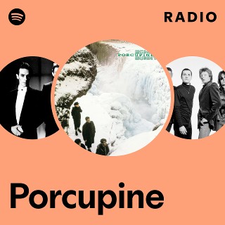 Porcupine Radio | Spotify Playlist