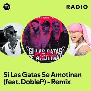 Si Las Gatas Se Amotinan (feat. DobleP) - Remix Radio | Spotify Playlist