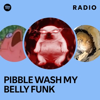 PIBBLE WASH MY BELLY FUNK Radio | Spotify Playlist