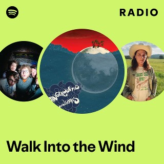 Walk Into the Wind Radio - playlist by Spotify | Spotify