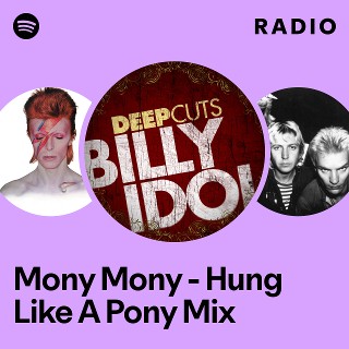Mony Mony - Hung Like A Pony Mix Radio | Spotify Playlist
