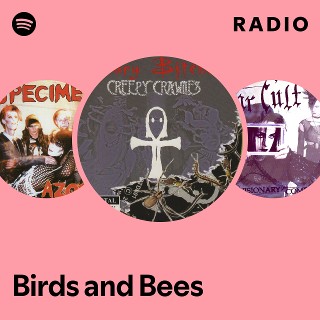 Birds and Bees Radio | Spotify Playlist