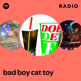 bad boy cat toy Radio - playlist by Spotify | Spotify
