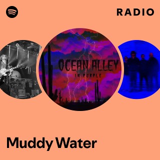 Muddy Water Radio - playlist by Spotify | Spotify