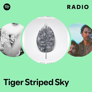 Tiger Striped Sky Radio - playlist by Spotify | Spotify