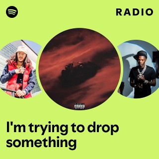 I'm trying to drop something Radio | Spotify Playlist