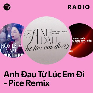 Anh Đau Từ Lúc Em Đi - Pice Remix Radio | Spotify Playlist