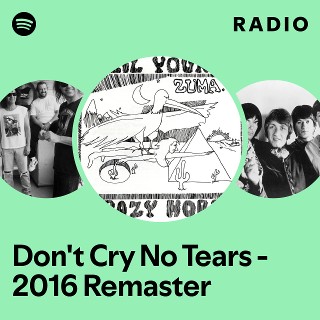 Don't Cry No Tears - 2016 Remaster Radio | Spotify Playlist