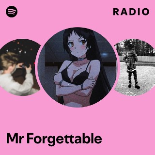 Mr Forgettable Radio | Spotify Playlist