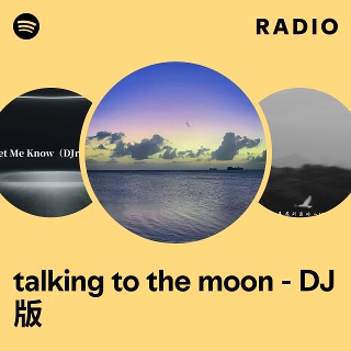 talking to the moon - DJ版 Radio | Spotify Playlist