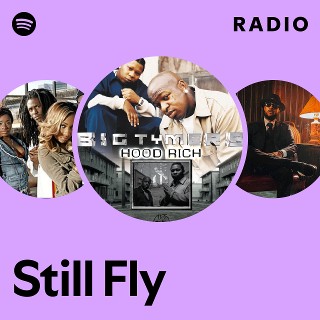Still Fly - Album Version (Edited) Radio - playlist by Spotify | Spotify