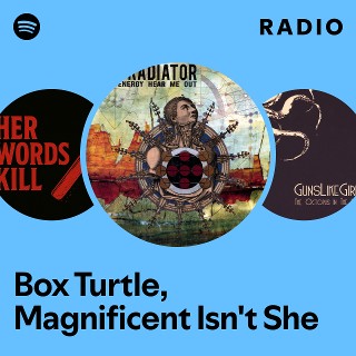 Box Turtle, Magnificent Isn't She Radio | Spotify Playlist