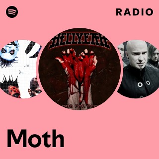 Moth Radio | Spotify Playlist