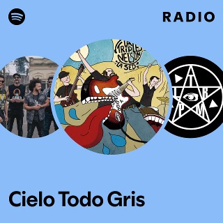 Cielo Todo Gris Radio | Spotify Playlist