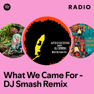 What We Came For - DJ Smash Remix Radio | Spotify Playlist