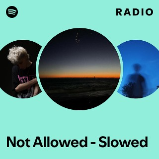 Not Allowed - Slowed Radio | Spotify Playlist