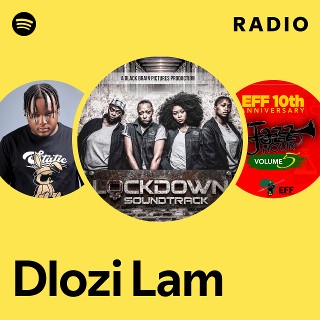 Dlozi Lam Radio - playlist by Spotify | Spotify