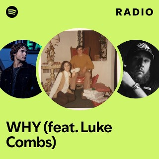 WHY (feat. Luke Combs) Radio | Spotify Playlist