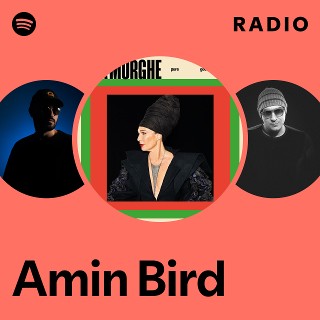 Amin Bird Radio | Spotify Playlist