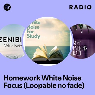 Homework White Noise Focus (Loopable no fade) Radio | Spotify Playlist