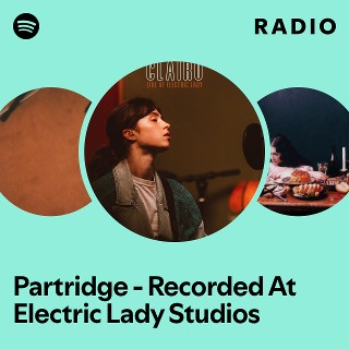 Partridge - Recorded At Electric Lady Studios Radio - playlist by ...