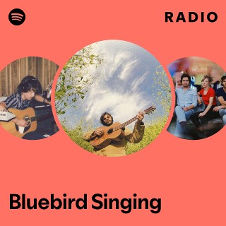 Bluebird Singing Radio - playlist by Spotify | Spotify