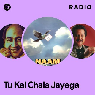 Tu Kal Chala Jayega Radio | Spotify Playlist