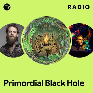 Primordial Black Hole Radio | Spotify Playlist