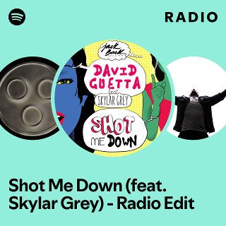 Shot Me Down (feat. Skylar Grey) - Radio Edit Radio | Spotify Playlist
