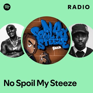 No Spoil My Steeze Radio | Spotify Playlist