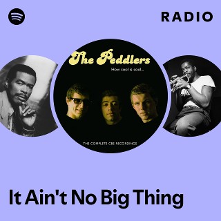 It Ain't No Big Thing Radio - playlist by Spotify | Spotify